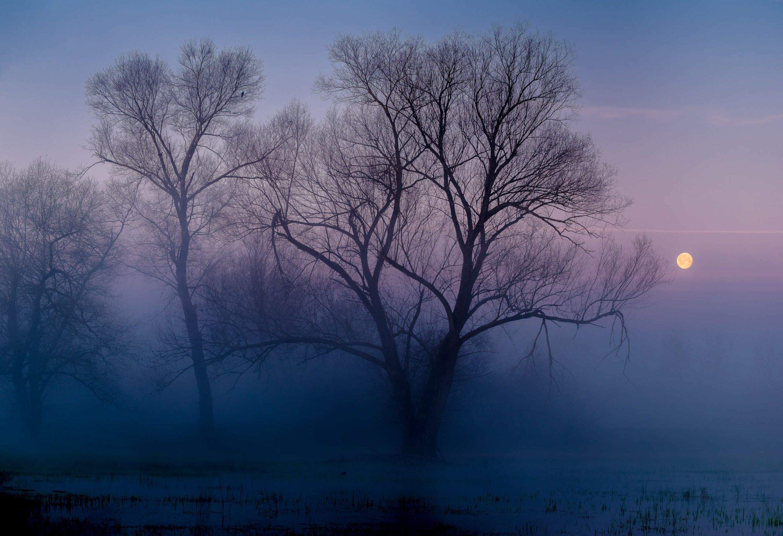Blue Fog Wallpapers - Top Free Blue Fog Backgrounds - WallpaperAccess