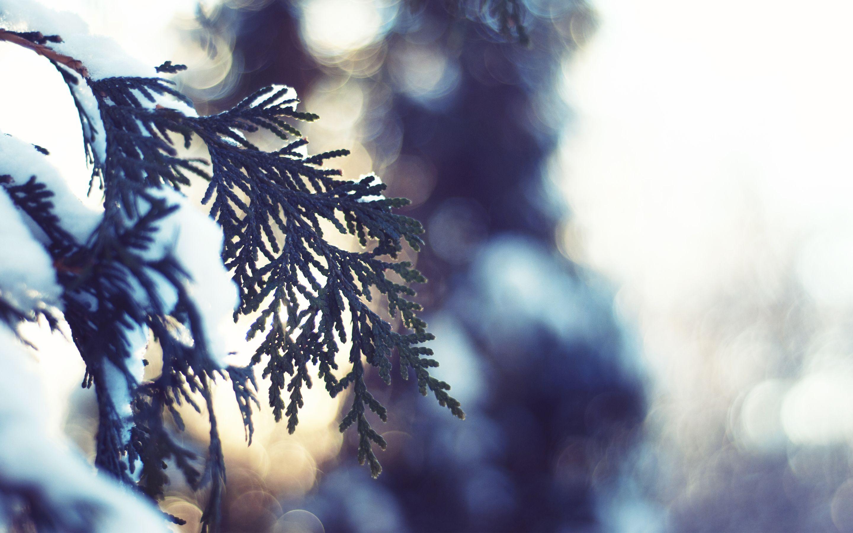 Vintage Winter Wallpapers - Top Free Vintage Winter Backgrounds ...
