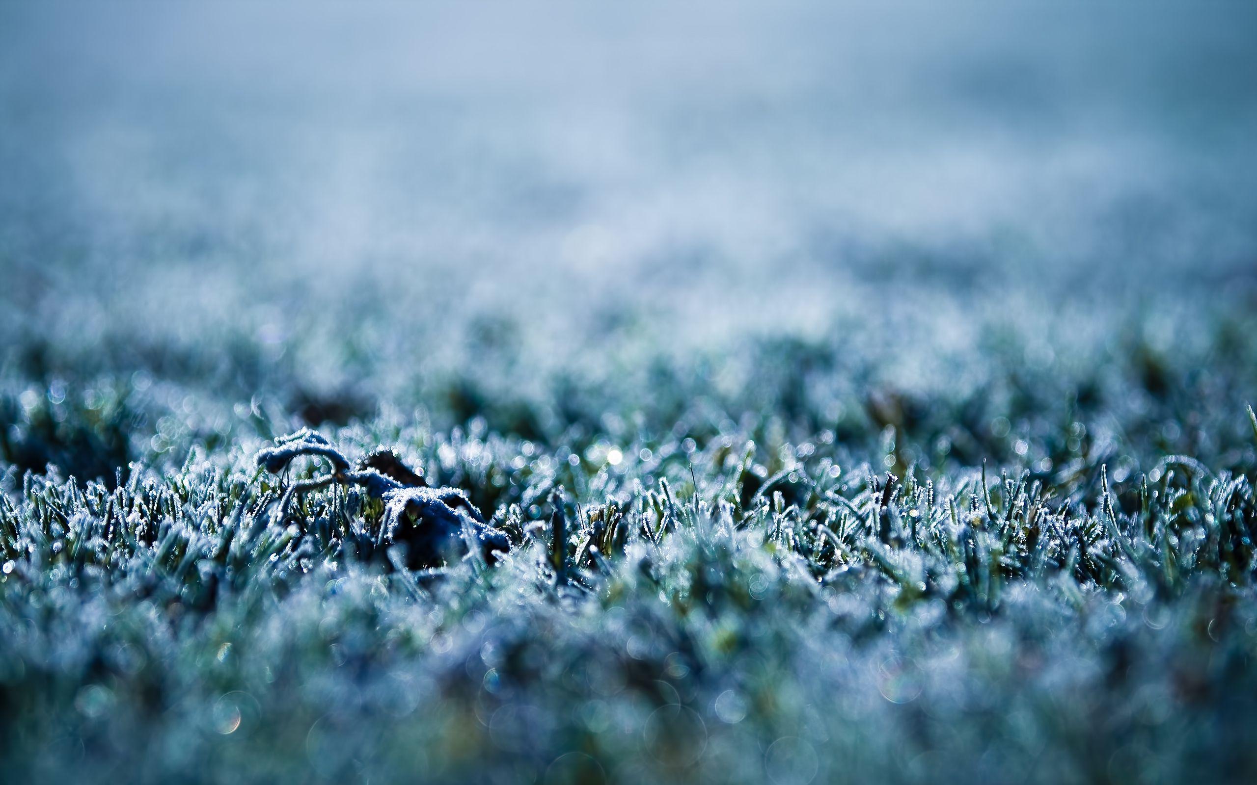 Frost Wallpapers - Top Free Frost Backgrounds - WallpaperAccess
