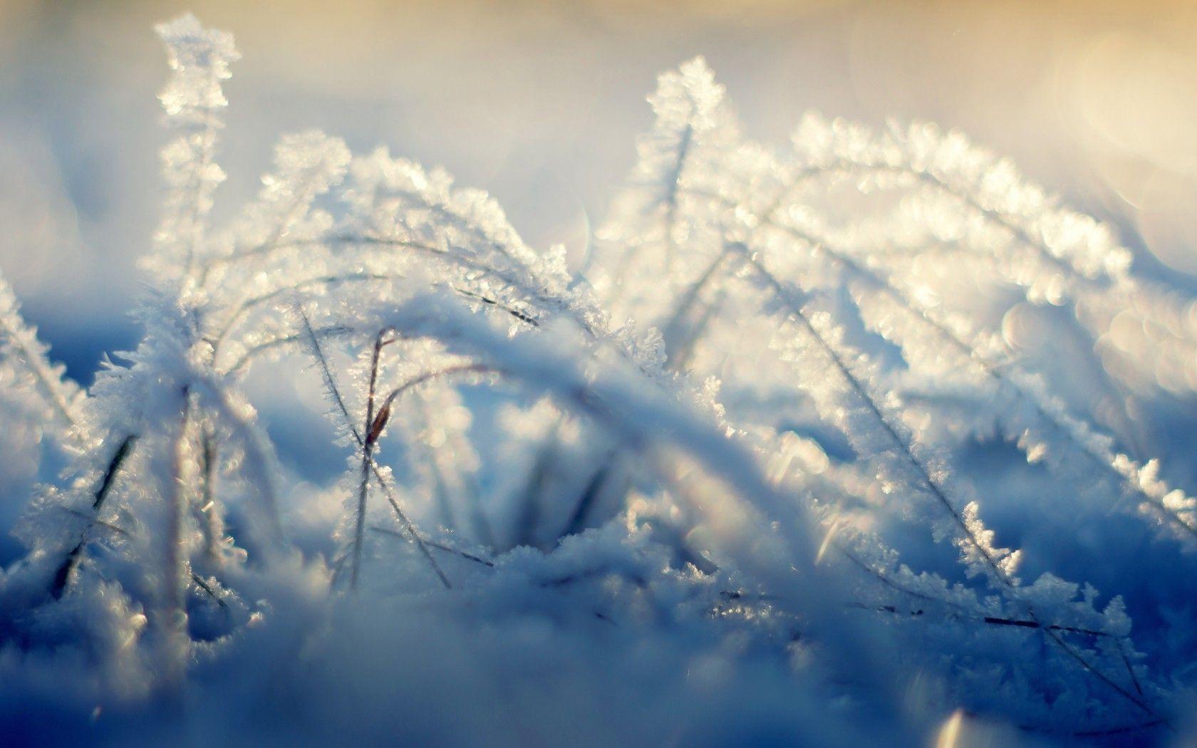 Frost Wallpapers - Top Free Frost Backgrounds - WallpaperAccess