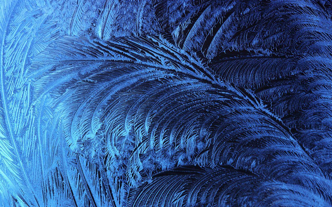 Frost Wallpapers - Top Free Frost Backgrounds - WallpaperAccess