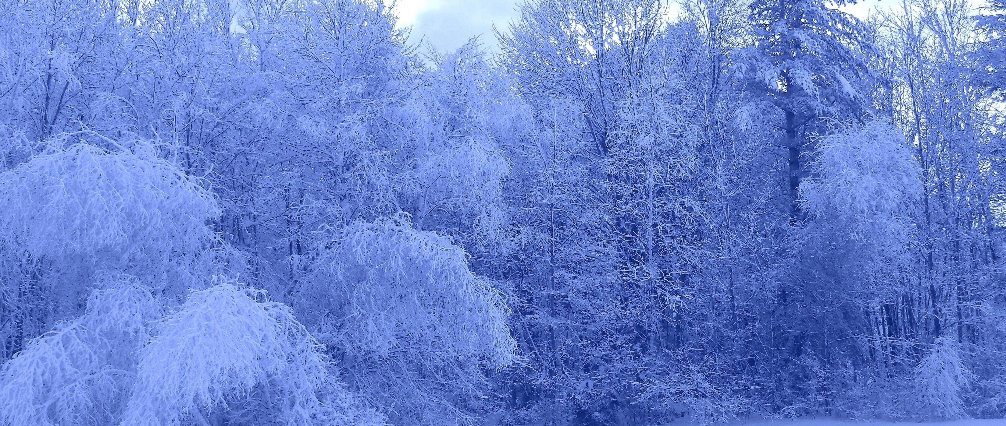 Frost Wallpapers - Top Free Frost Backgrounds - WallpaperAccess