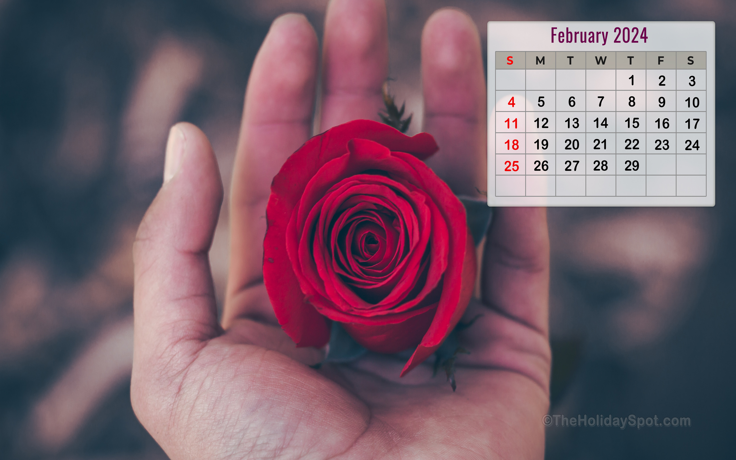 February 2024 Calendar Wallpapers - Top Free February 2024 Calendar ...