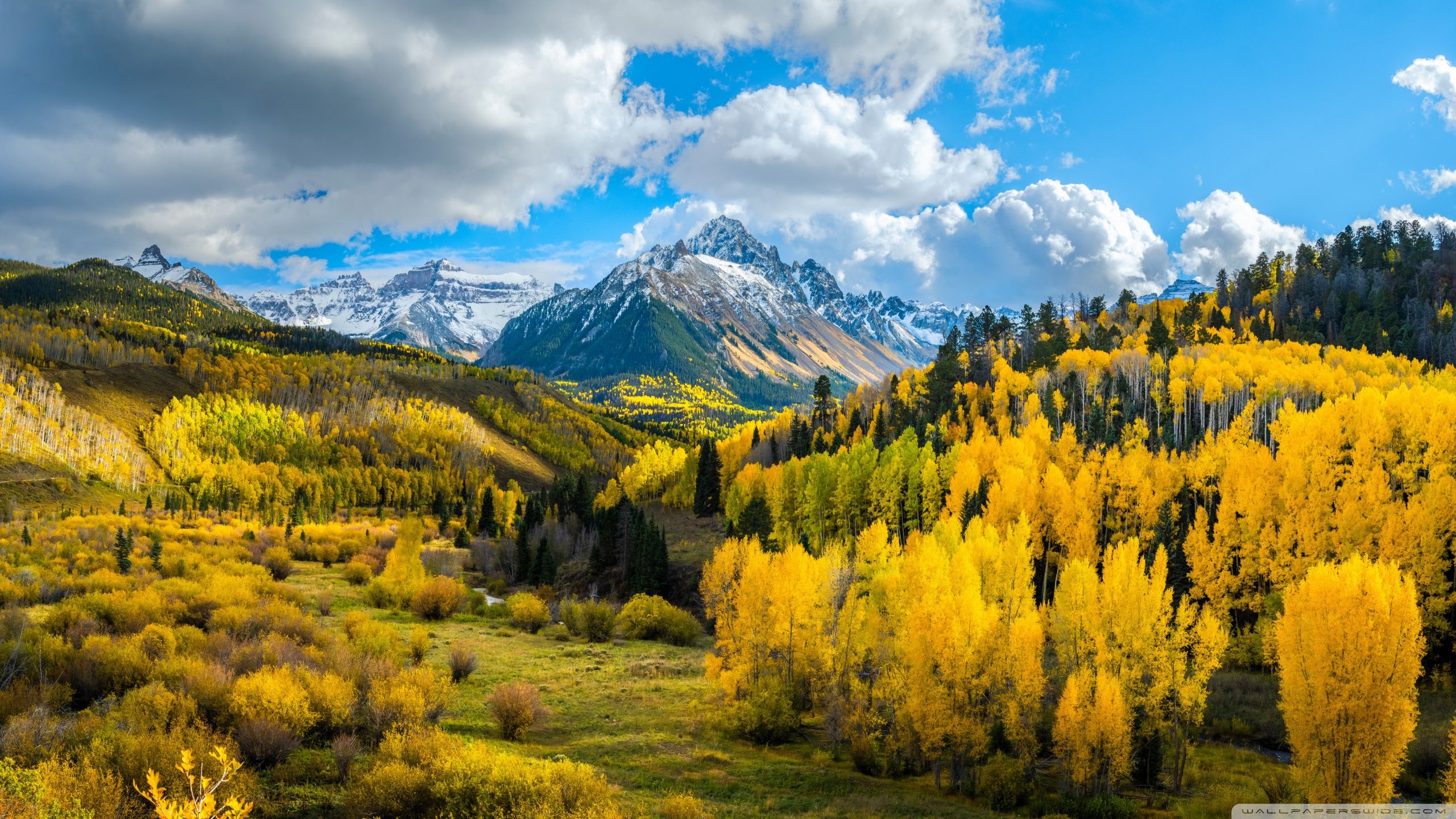 Yellow Landscape Wallpapers - Top Free Yellow Landscape Backgrounds ...