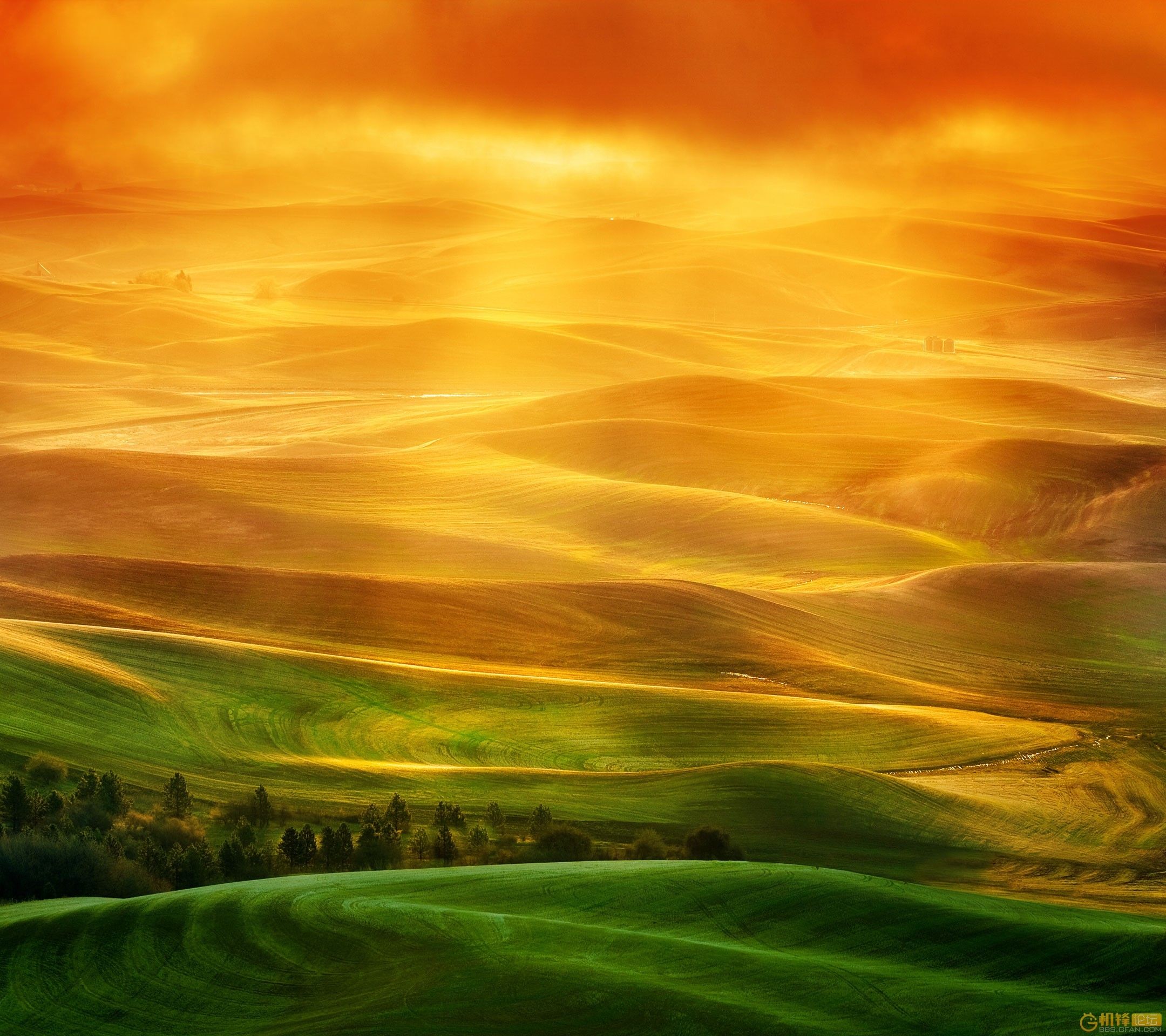 Yellow Landscape Wallpapers - Top Free Yellow Landscape Backgrounds ...