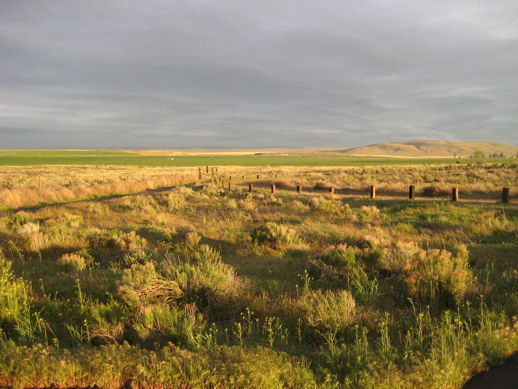 The Oregon Trail Wallpapers - Top Free The Oregon Trail Backgrounds ...