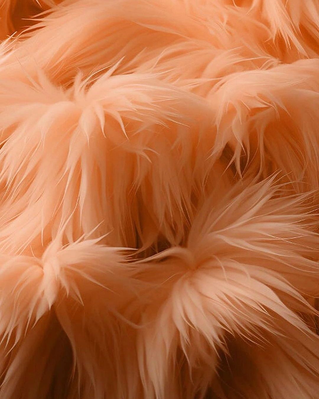 Peach Fuzz Wallpapers - Top Free Peach Fuzz Backgrounds - WallpaperAccess