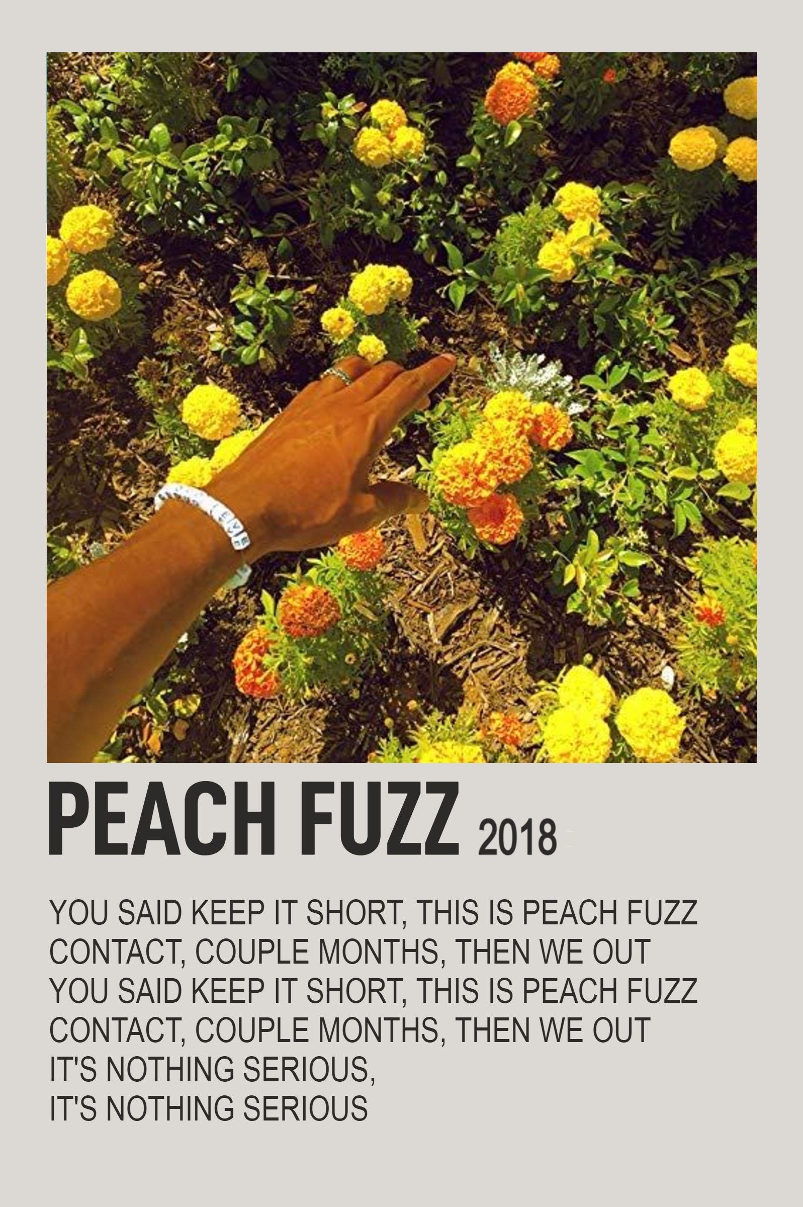 Peach Fuzz Wallpapers - Top Free Peach Fuzz Backgrounds - WallpaperAccess