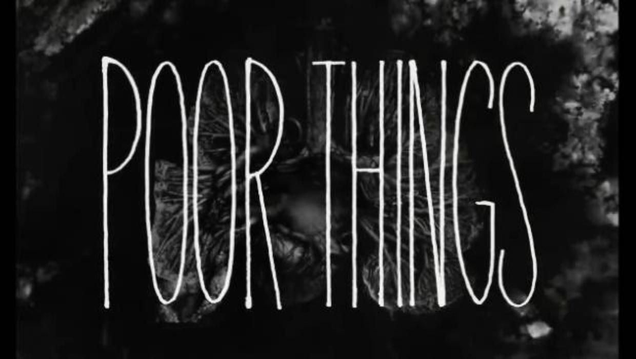 Poor Things Wallpapers - Top Free Poor Things Backgrounds - WallpaperAccess