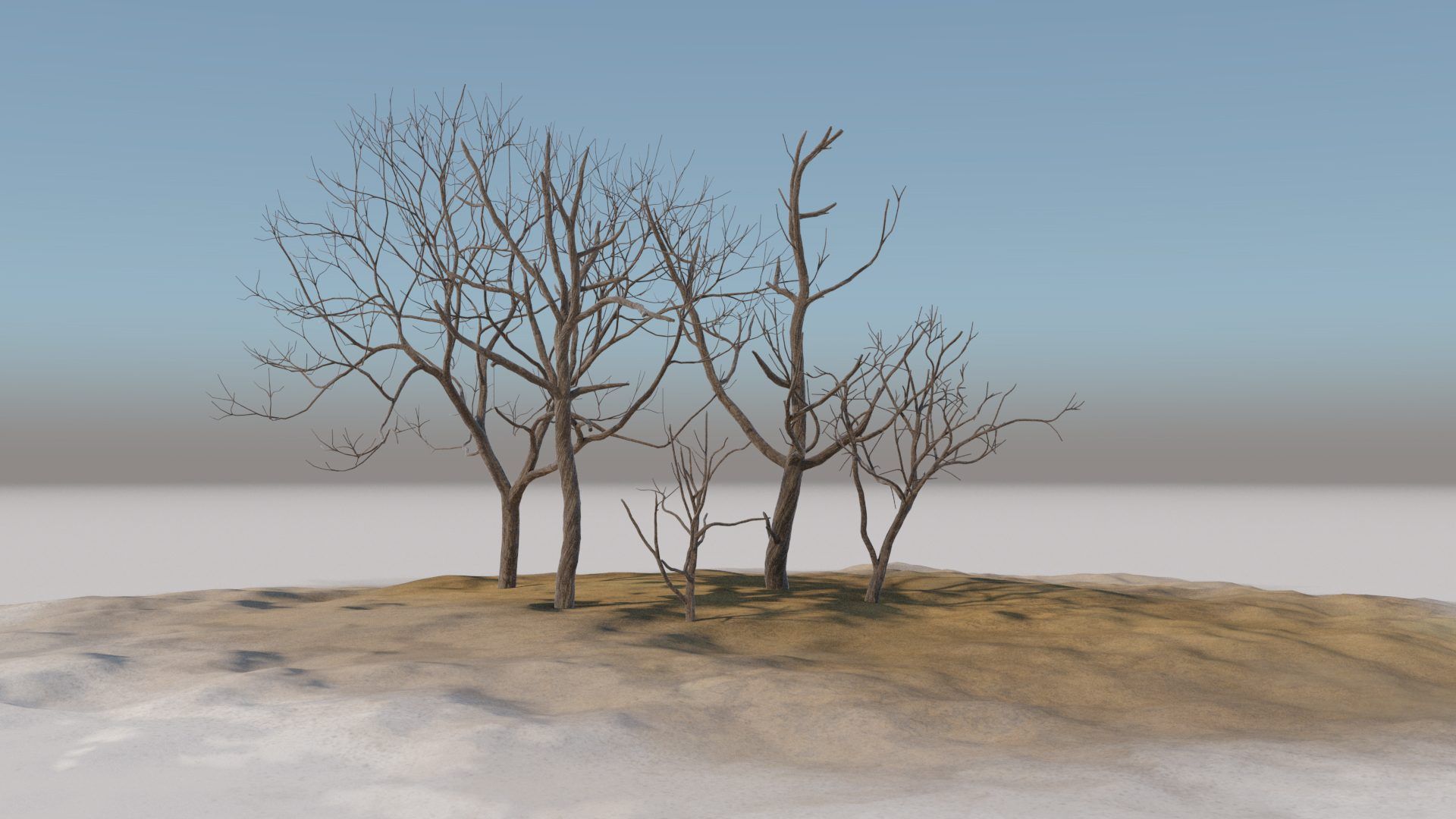 Dry Tree Wallpapers - Top Free Dry Tree Backgrounds - WallpaperAccess