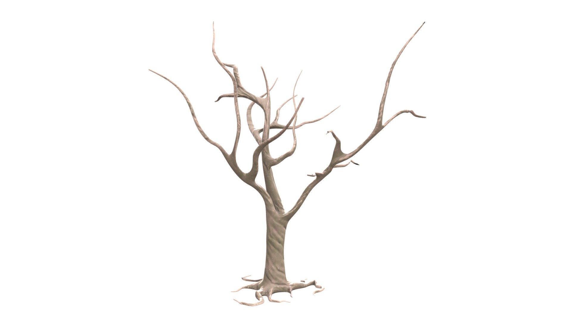 Dry Tree Wallpapers - Top Free Dry Tree Backgrounds - WallpaperAccess