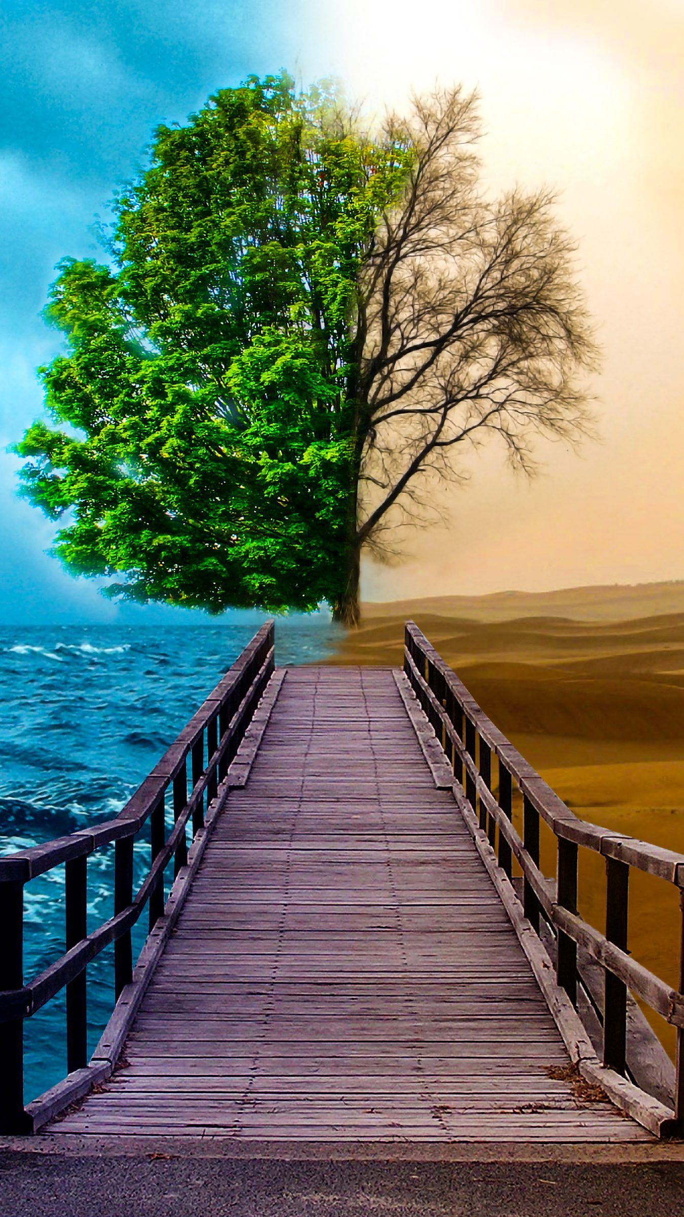 Dry Tree Wallpapers - Top Free Dry Tree Backgrounds - WallpaperAccess