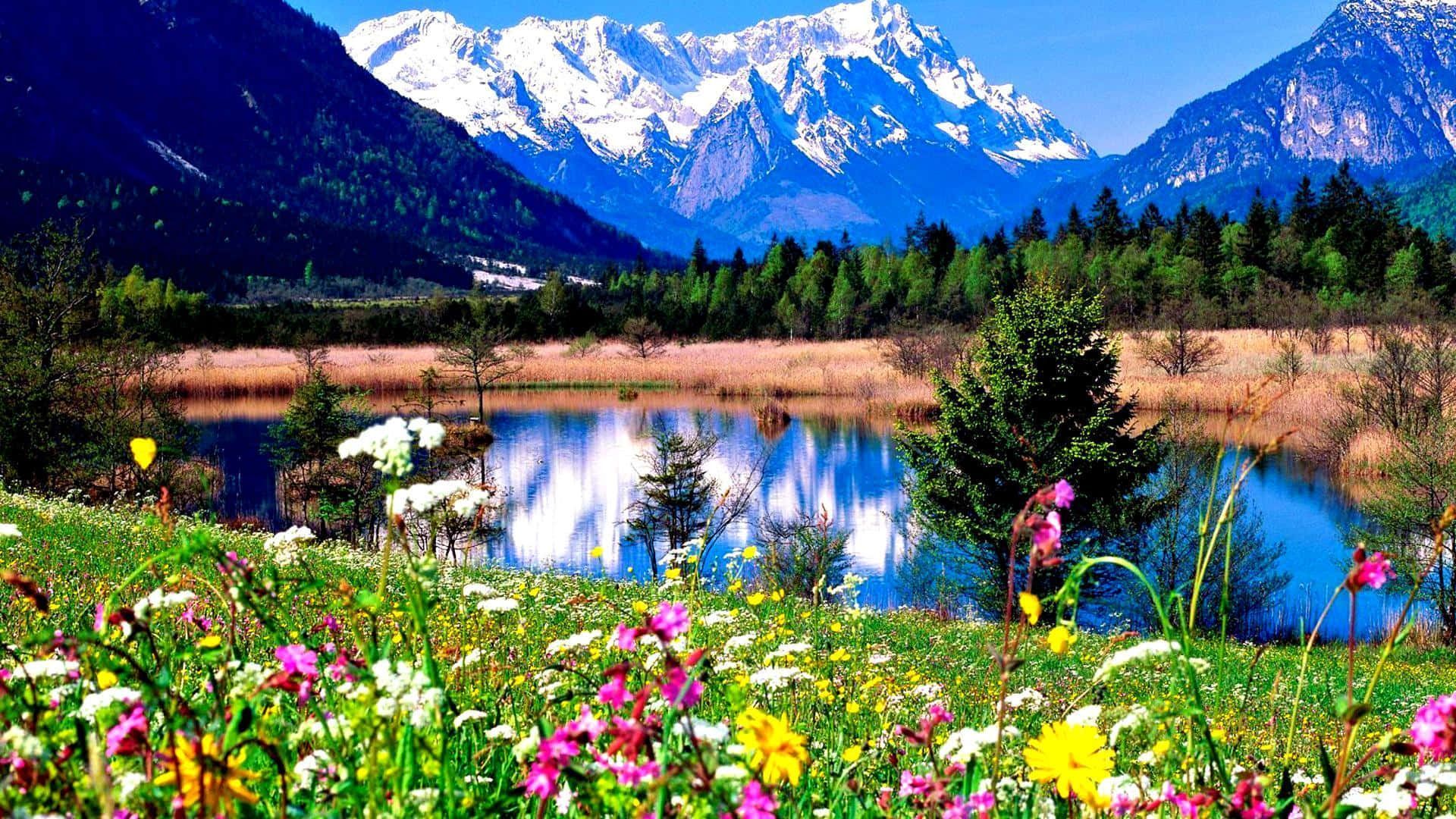 Natural Place Wallpapers - Top Free Natural Place Backgrounds ...