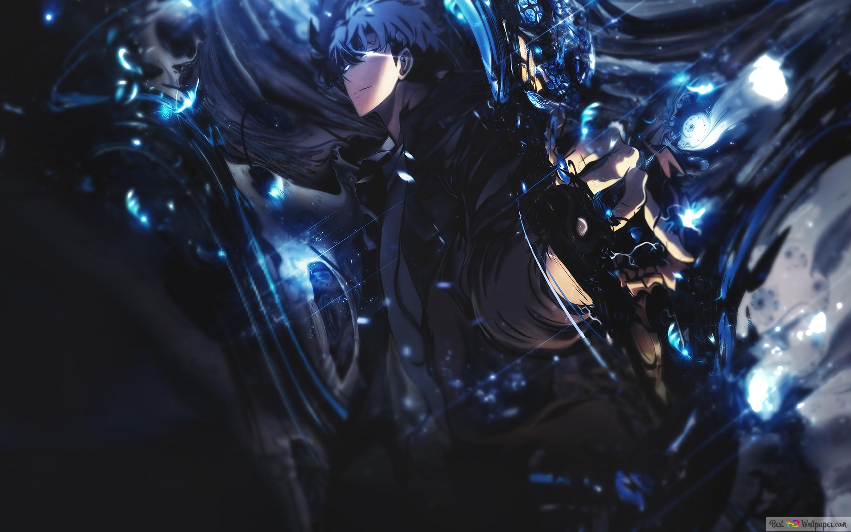 Solo Leveling PC Wallpapers - Top Free Solo Leveling PC Backgrounds ...