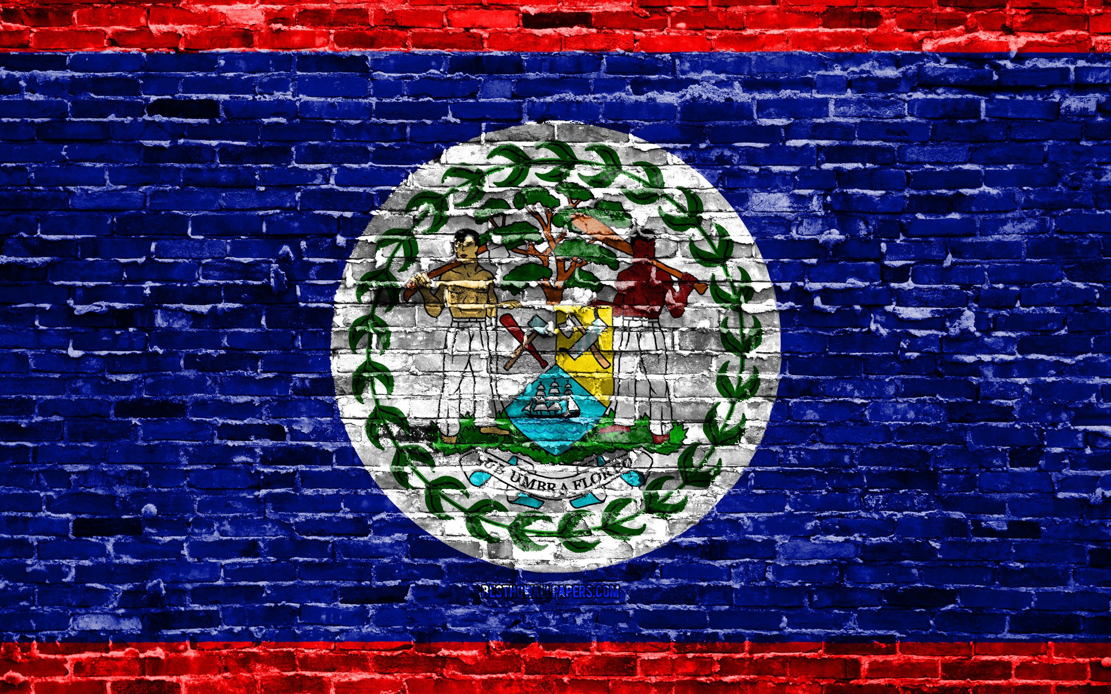 Belize Flag Wallpapers - Top Free Belize Flag Backgrounds - WallpaperAccess