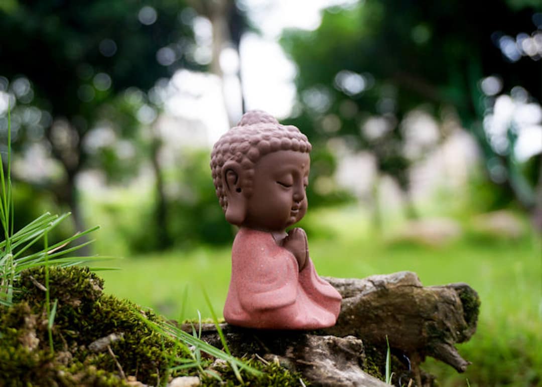 Little Buddha Wallpapers - Top Free Little Buddha Backgrounds ...
