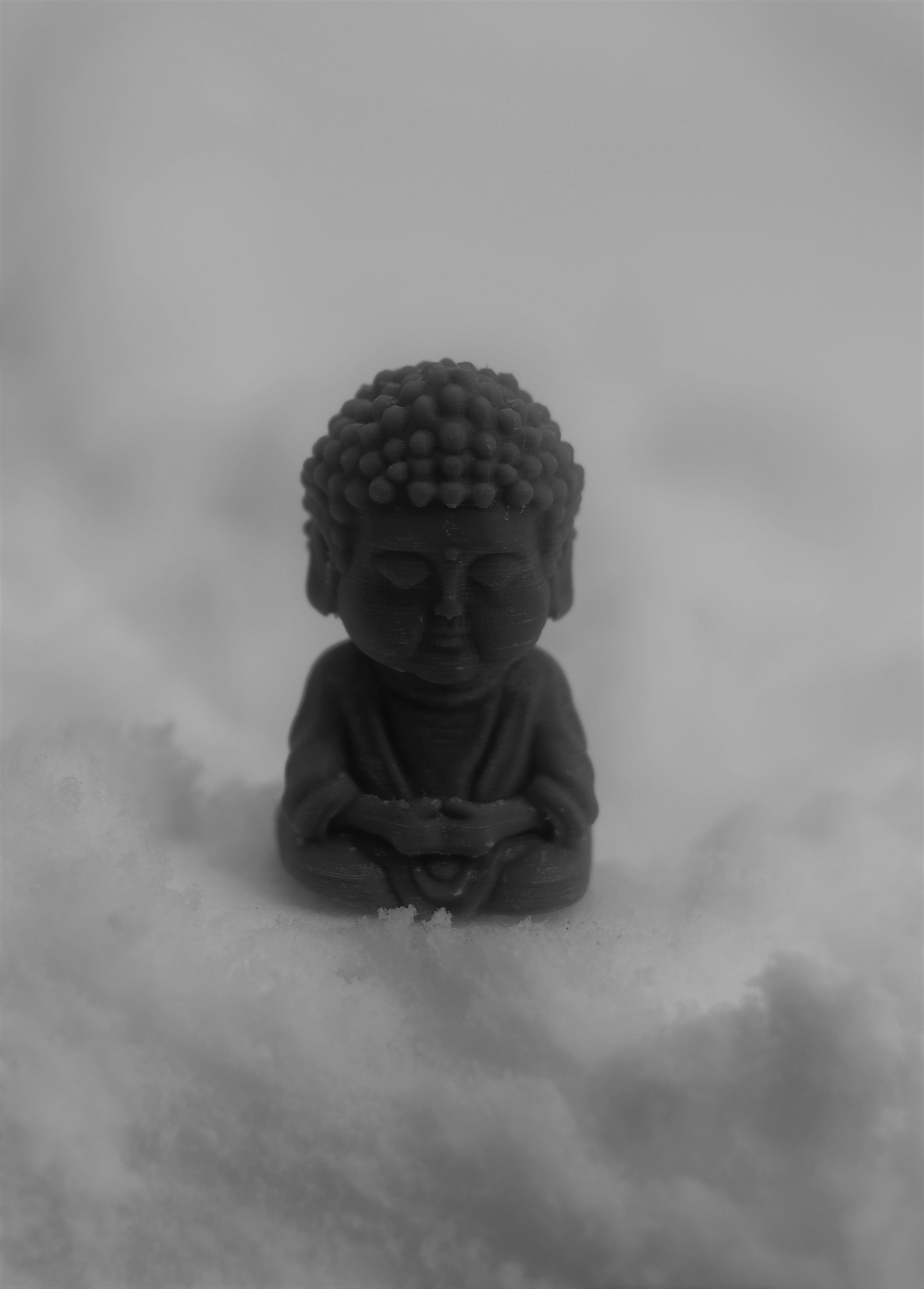 Little Buddha Wallpapers - Top Free Little Buddha Backgrounds ...