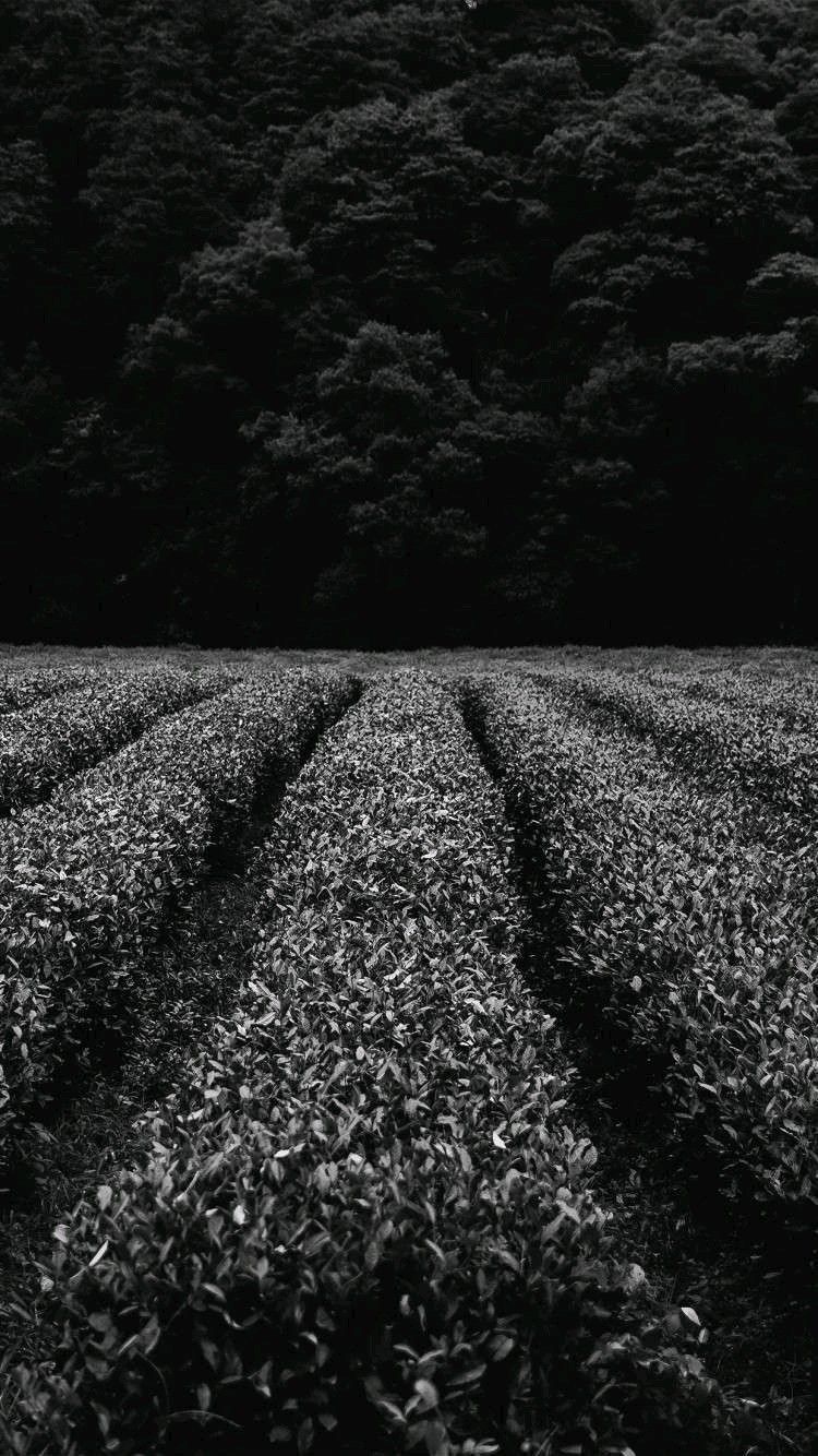 Fadaei Wallpapers - Top Free Fadaei Backgrounds - WallpaperAccess