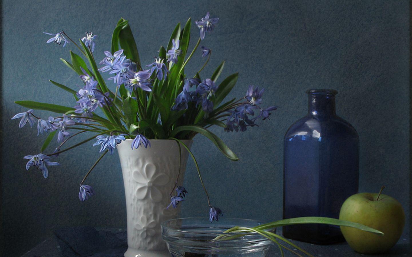 Flower Pot Wallpapers - Top Free Flower Pot Backgrounds - WallpaperAccess