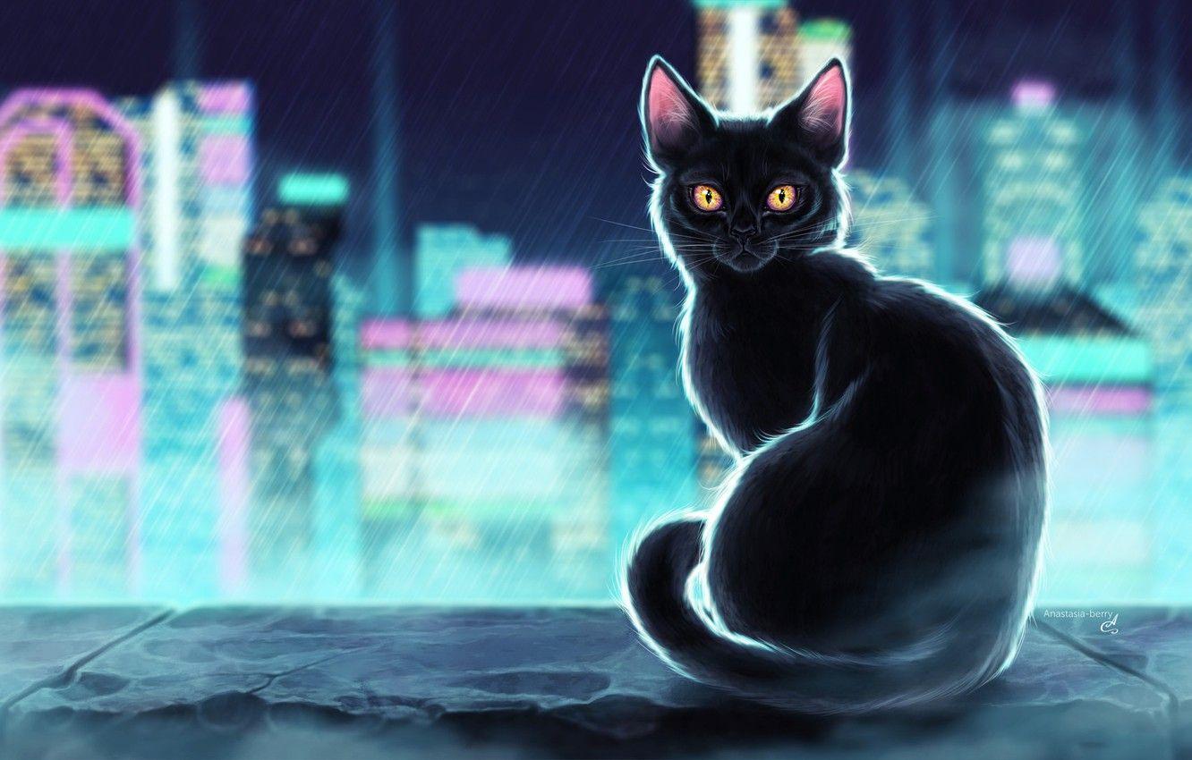 Neon Cat HD Wallpapers - Top Free Neon Cat HD Backgrounds - WallpaperAccess