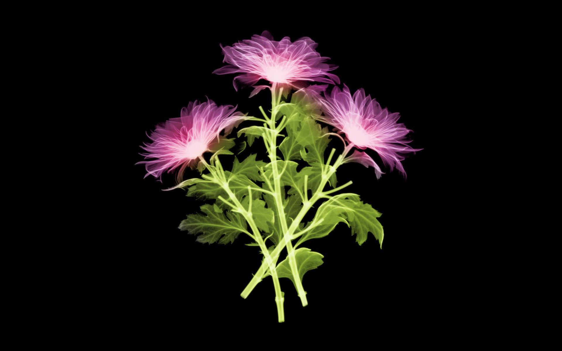 Neon 4D Wallpapers - Top Free Neon 4D Backgrounds - WallpaperAccess