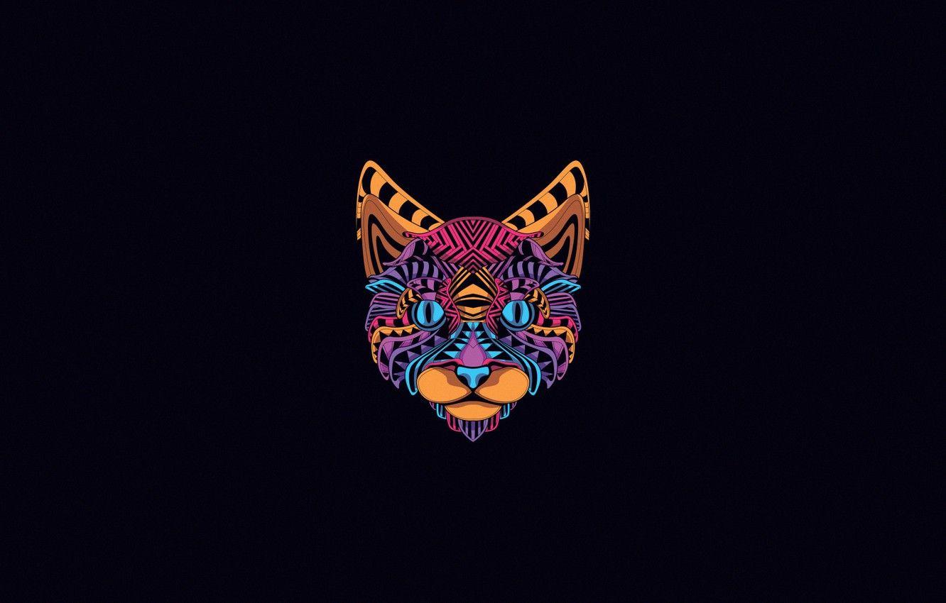 Neon Cat HD Wallpapers - Top Free Neon Cat HD Backgrounds - WallpaperAccess