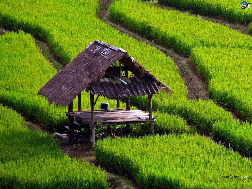 Indonesia Landscape Wallpapers - Top Free Indonesia Landscape ...