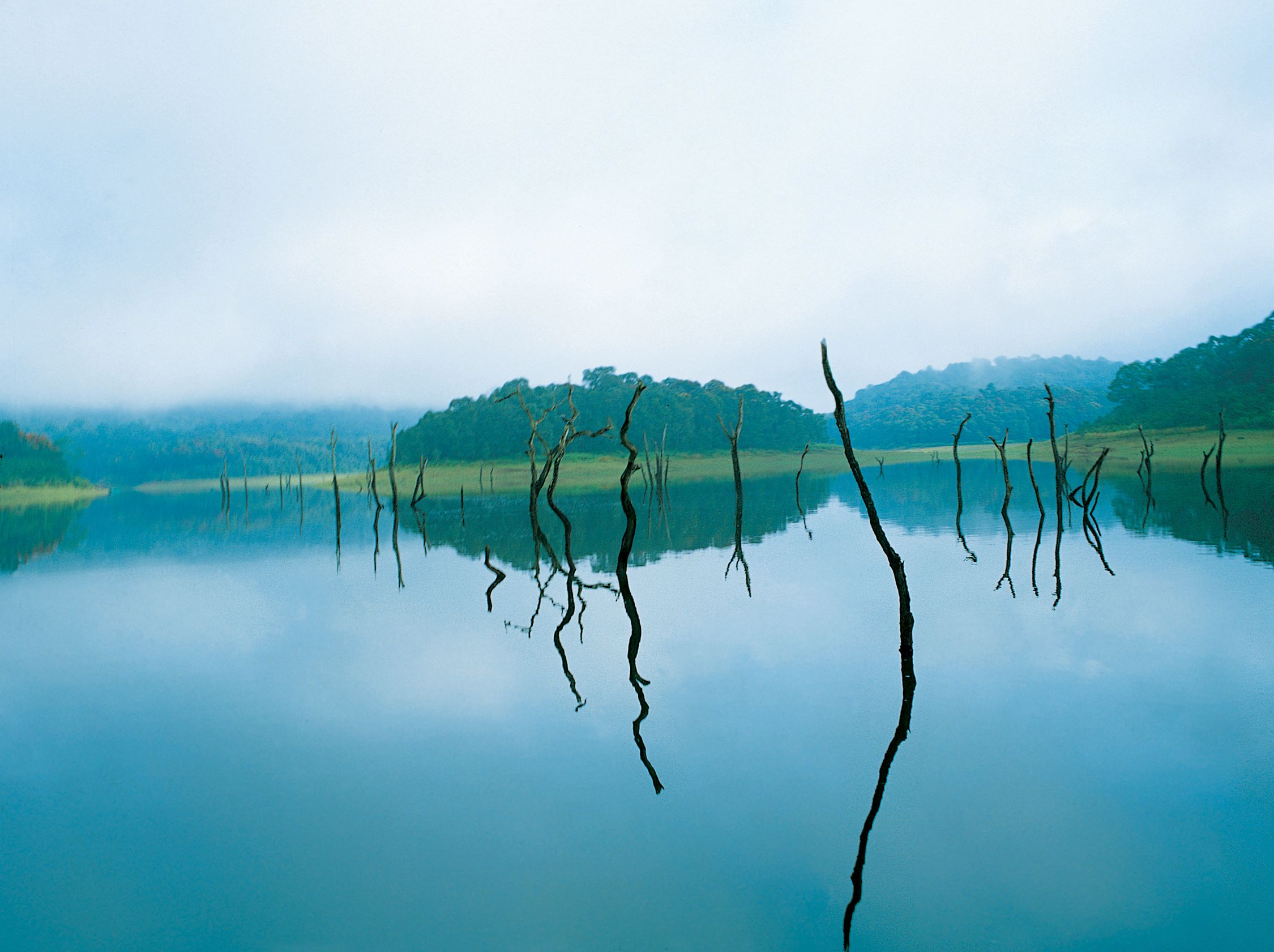 Thekkady Wallpapers - Top Free Thekkady Backgrounds - WallpaperAccess