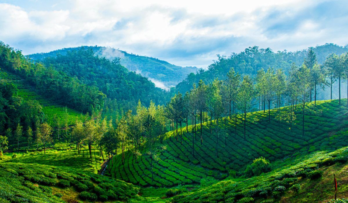Thekkady Wallpapers - Top Free Thekkady Backgrounds - WallpaperAccess