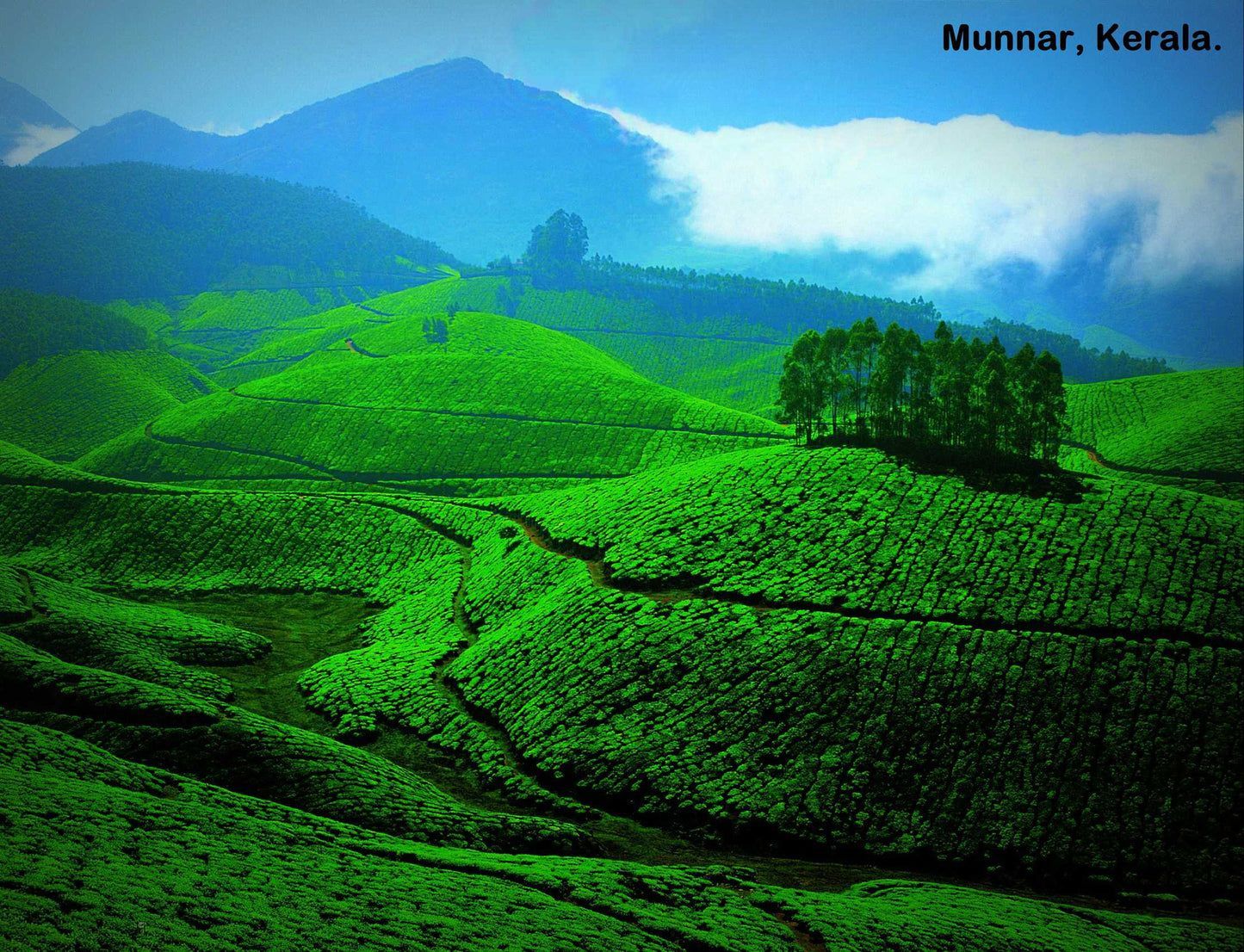 Thekkady Wallpapers - Top Free Thekkady Backgrounds - WallpaperAccess