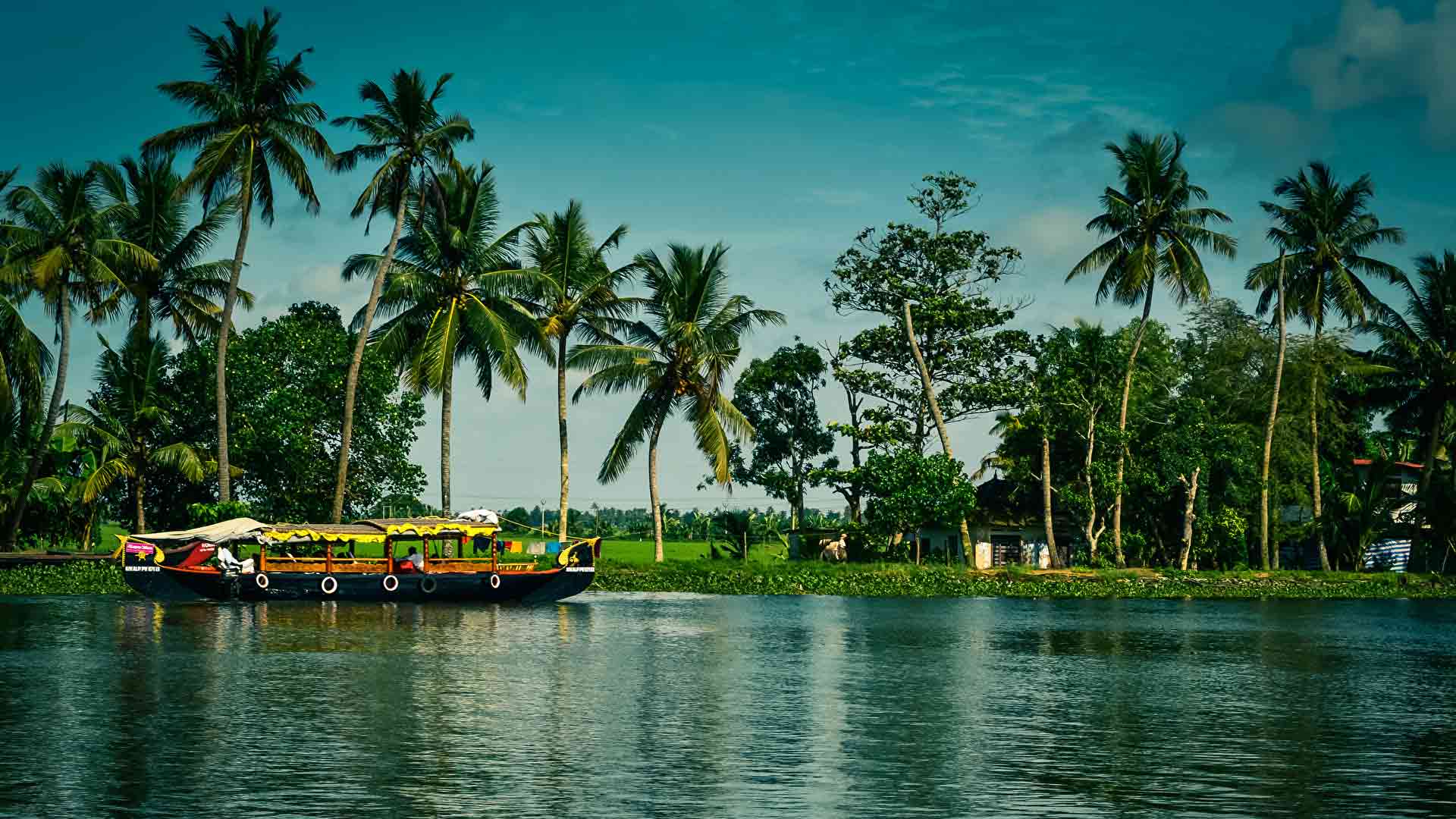 Thekkady Wallpapers - Top Free Thekkady Backgrounds - WallpaperAccess