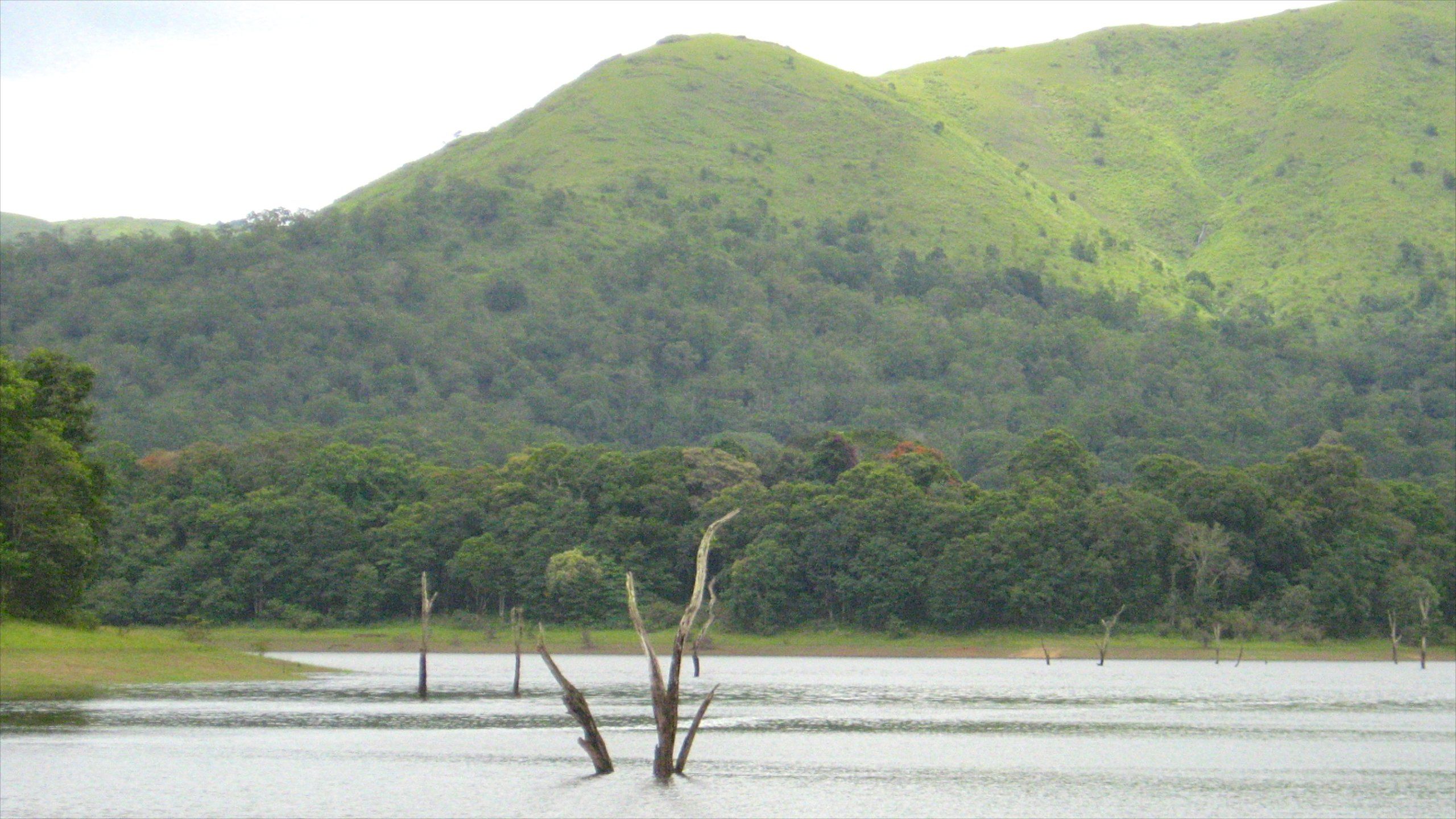 Thekkady Wallpapers - Top Free Thekkady Backgrounds - WallpaperAccess