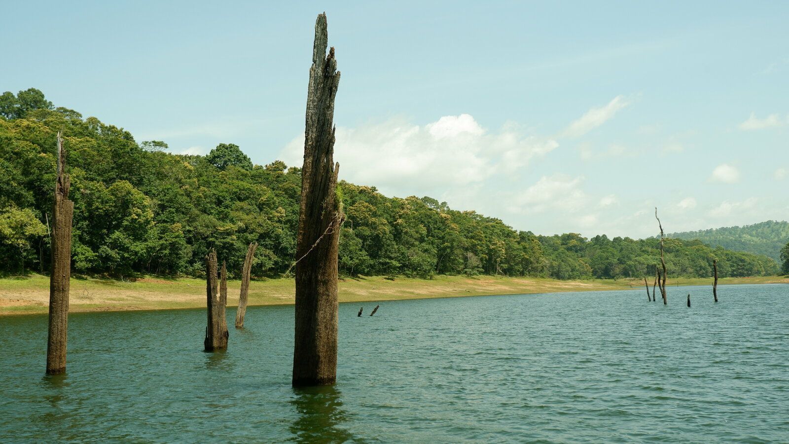 Thekkady Wallpapers - Top Free Thekkady Backgrounds - WallpaperAccess