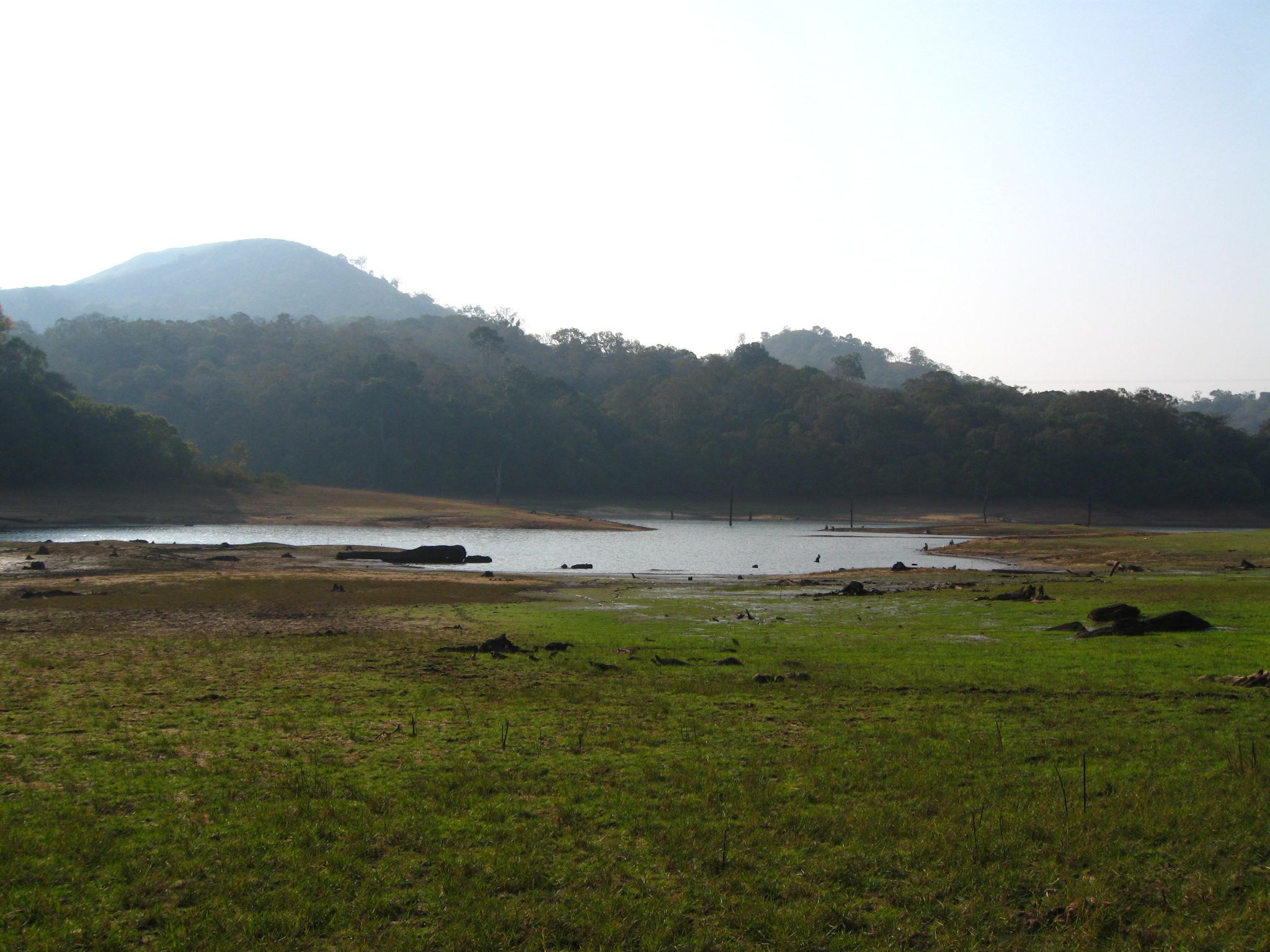 Thekkady Wallpapers - Top Free Thekkady Backgrounds - WallpaperAccess