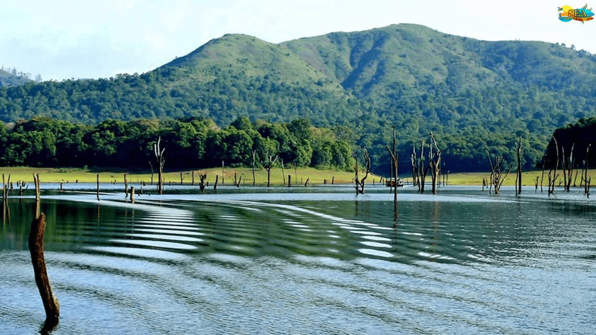Thekkady Wallpapers - Top Free Thekkady Backgrounds - WallpaperAccess