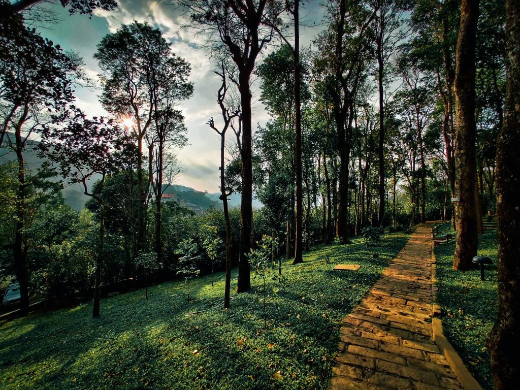 Thekkady Wallpapers - Top Free Thekkady Backgrounds - WallpaperAccess