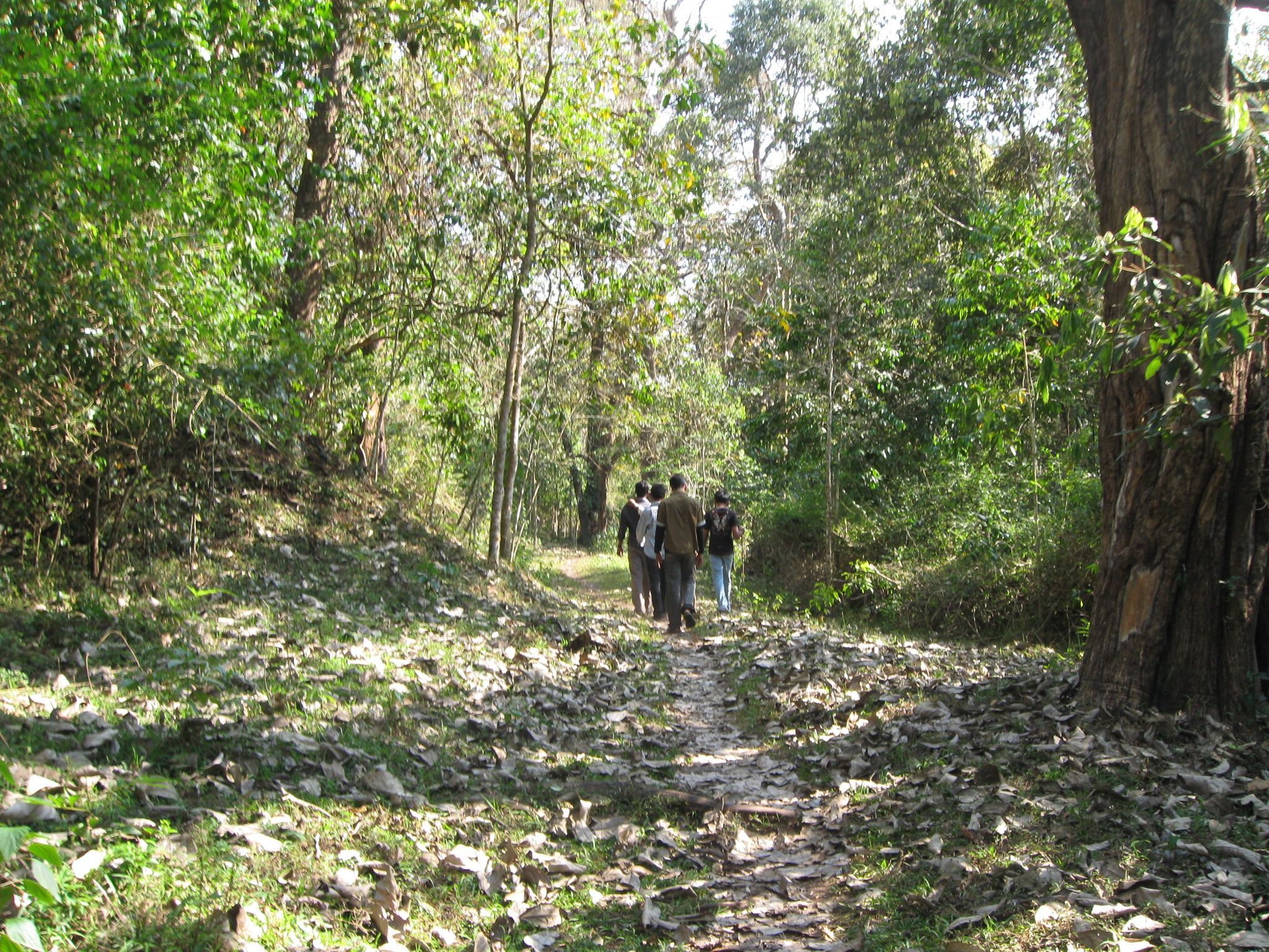 Thekkady Wallpapers - Top Free Thekkady Backgrounds - WallpaperAccess