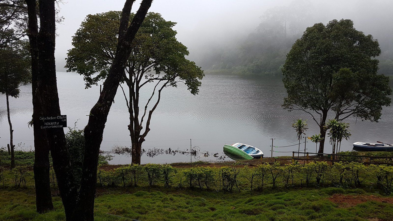 Thekkady Wallpapers - Top Free Thekkady Backgrounds - WallpaperAccess