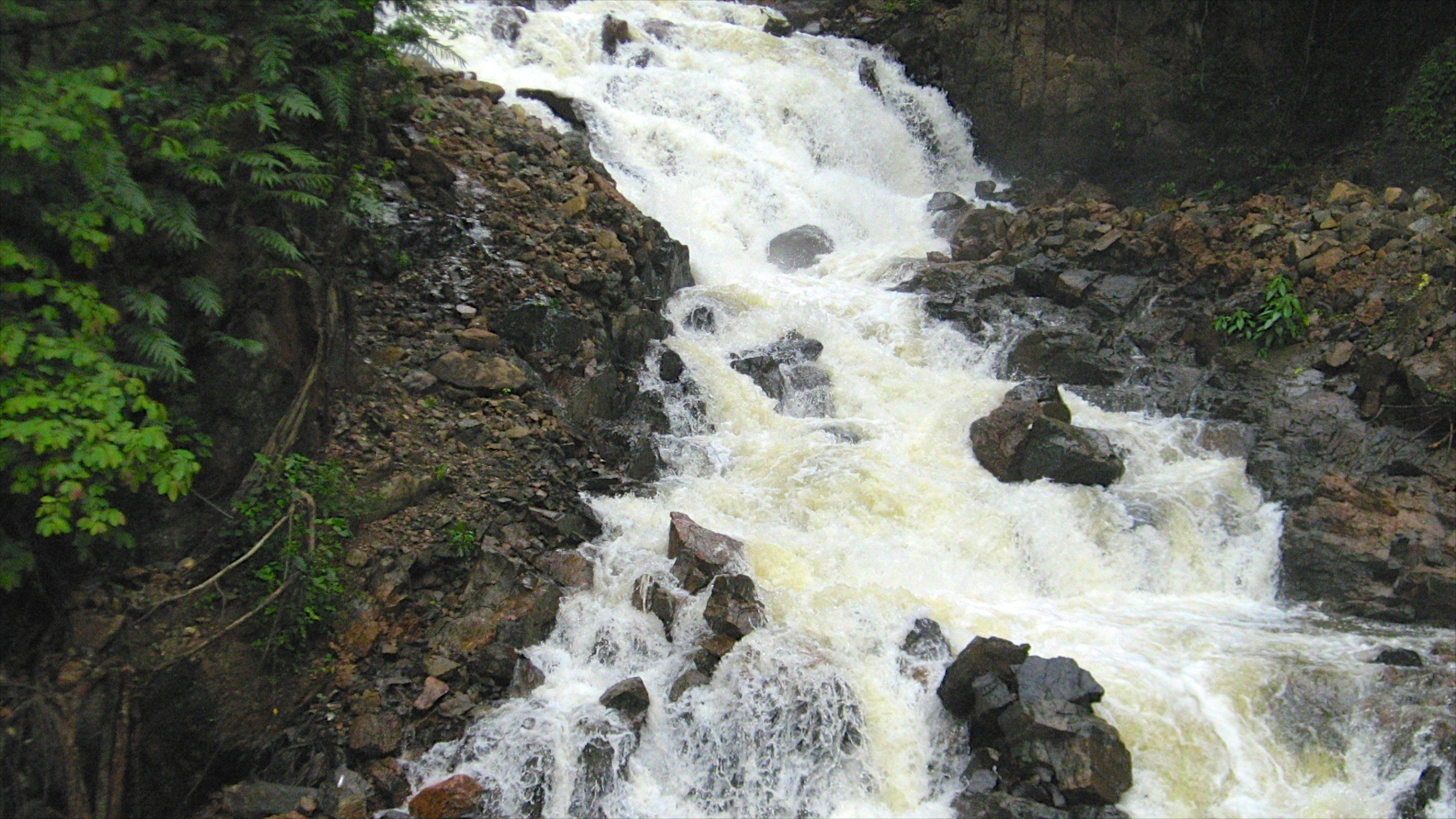 Thekkady Wallpapers - Top Free Thekkady Backgrounds - WallpaperAccess