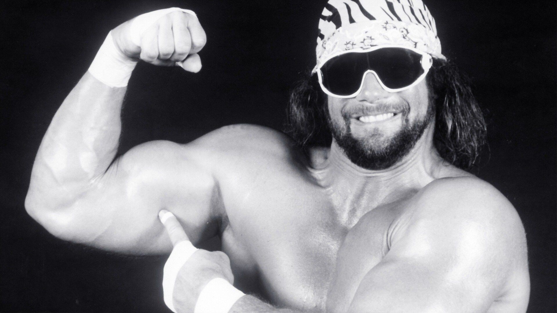 Randy Savage Wallpapers - Top Free Randy Savage Backgrounds ...