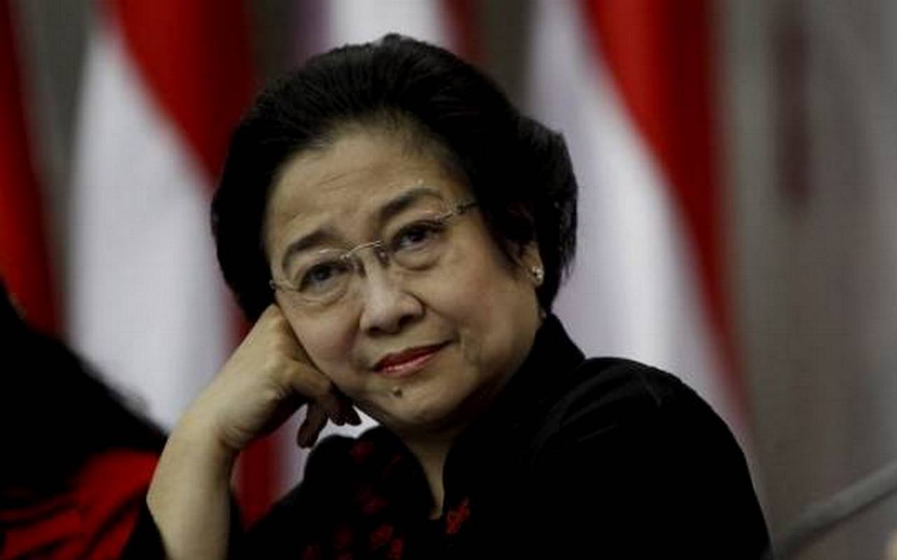 Megawati Wallpapers - Top Free Megawati Backgrounds - WallpaperAccess