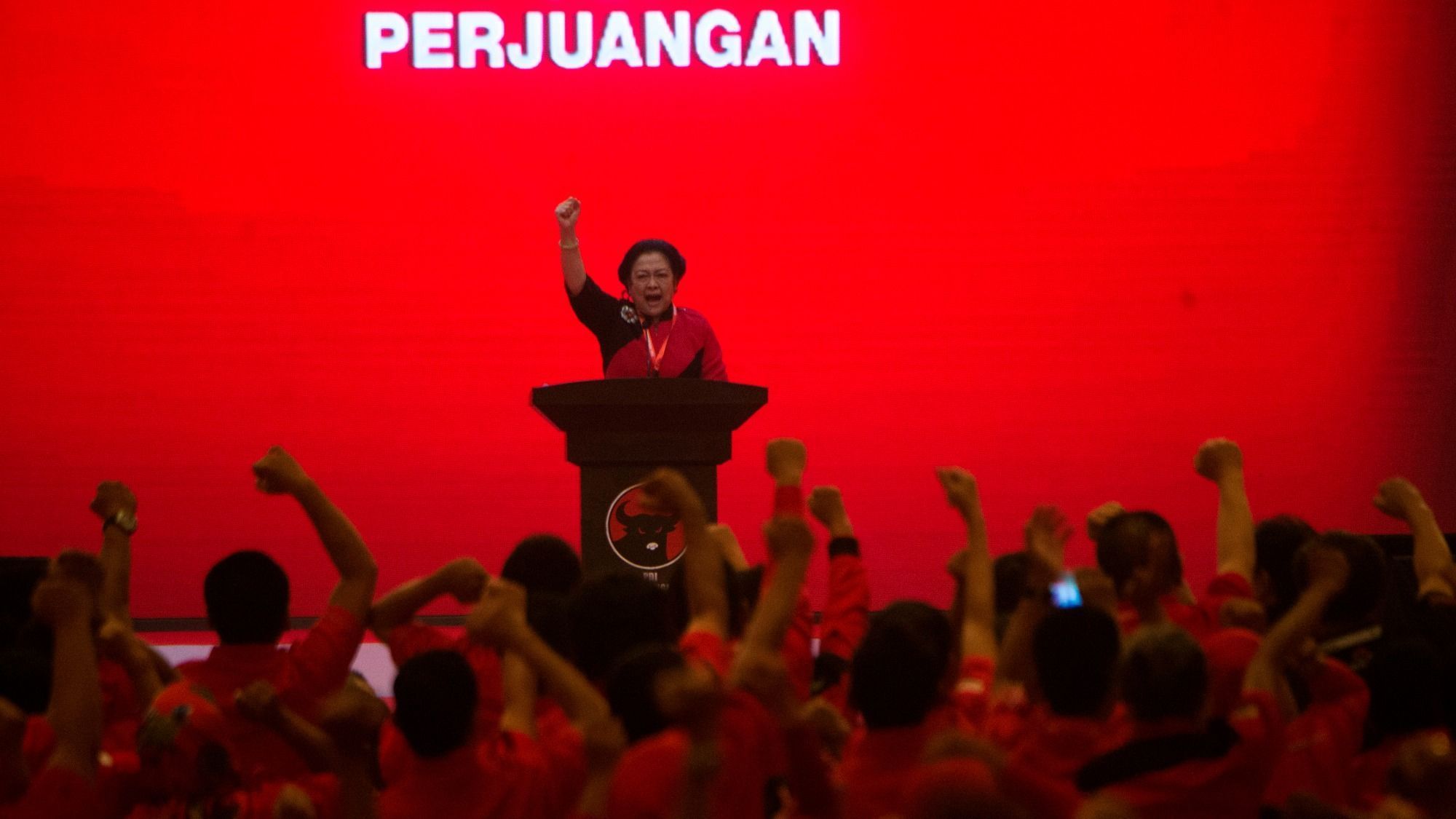 Megawati Wallpapers - Top Free Megawati Backgrounds - WallpaperAccess
