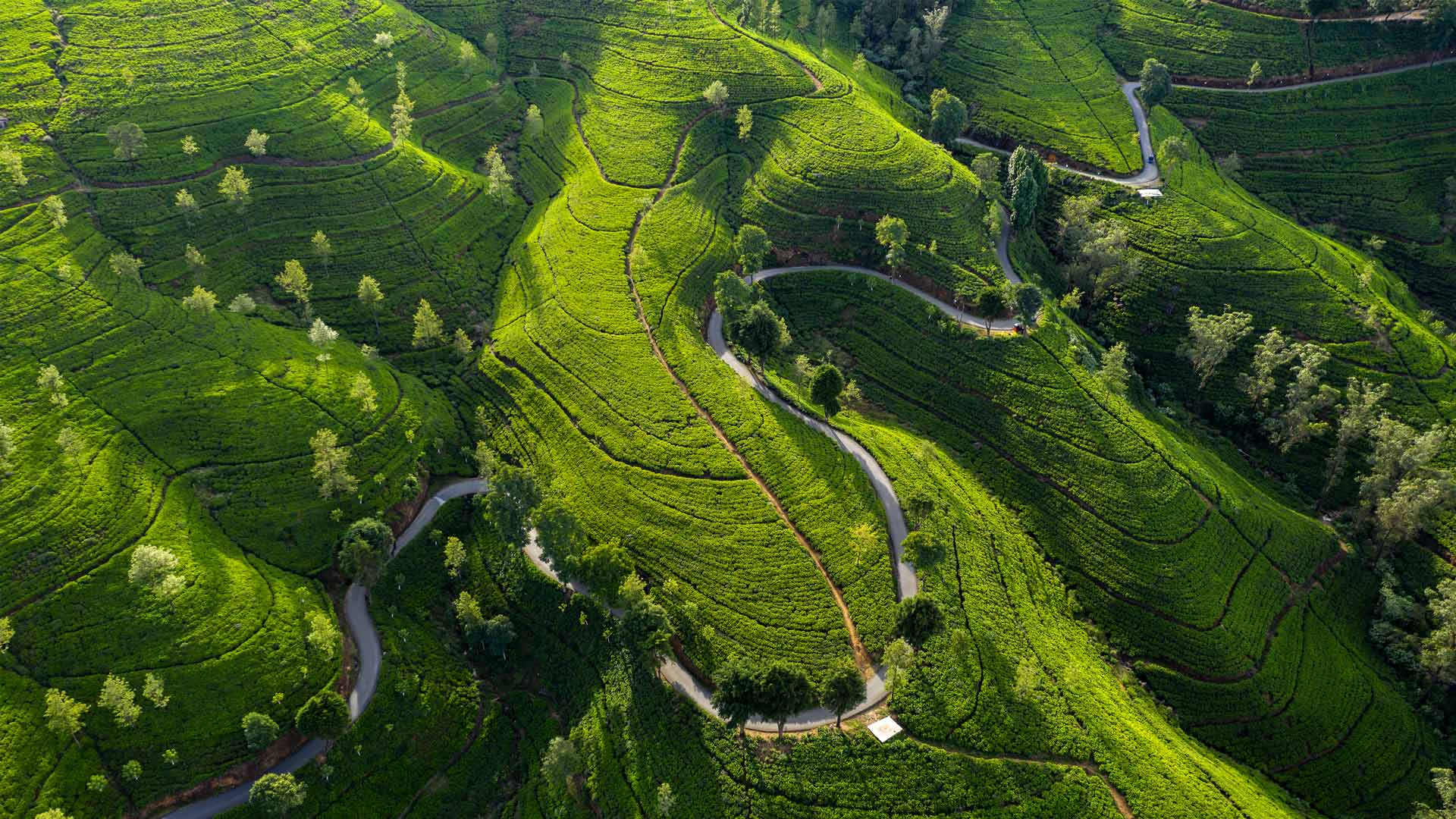 Nuwara Eliya Wallpapers - Top Free Nuwara Eliya Backgrounds ...