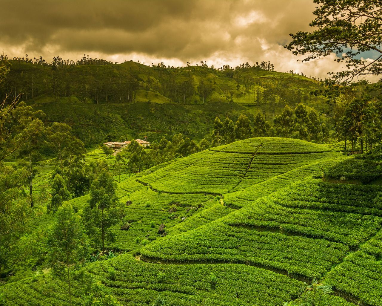 Nuwara Eliya Wallpapers - Top Free Nuwara Eliya Backgrounds ...