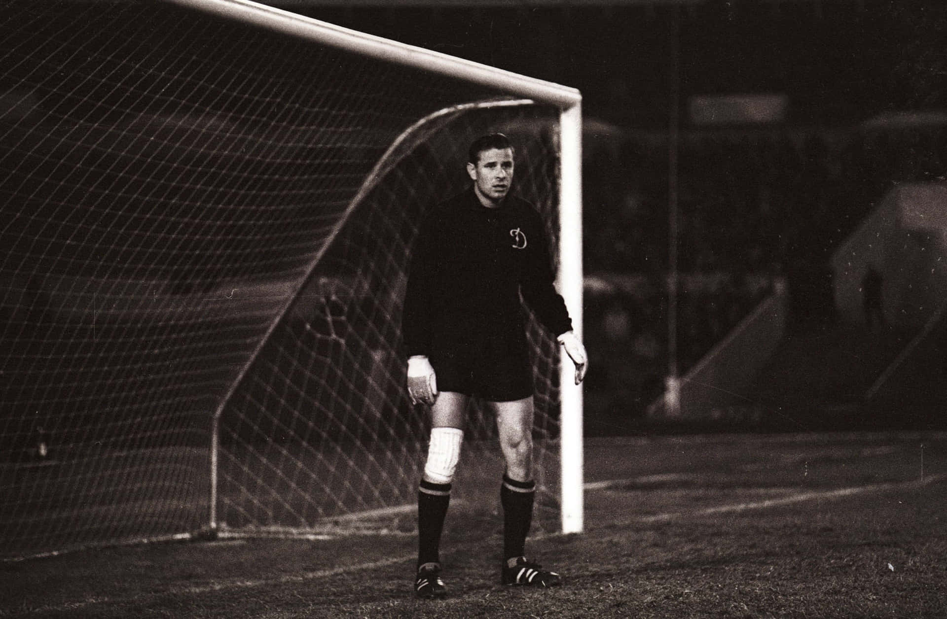 Lev Yashin Wallpapers - Top Free Lev Yashin Backgrounds - WallpaperAccess