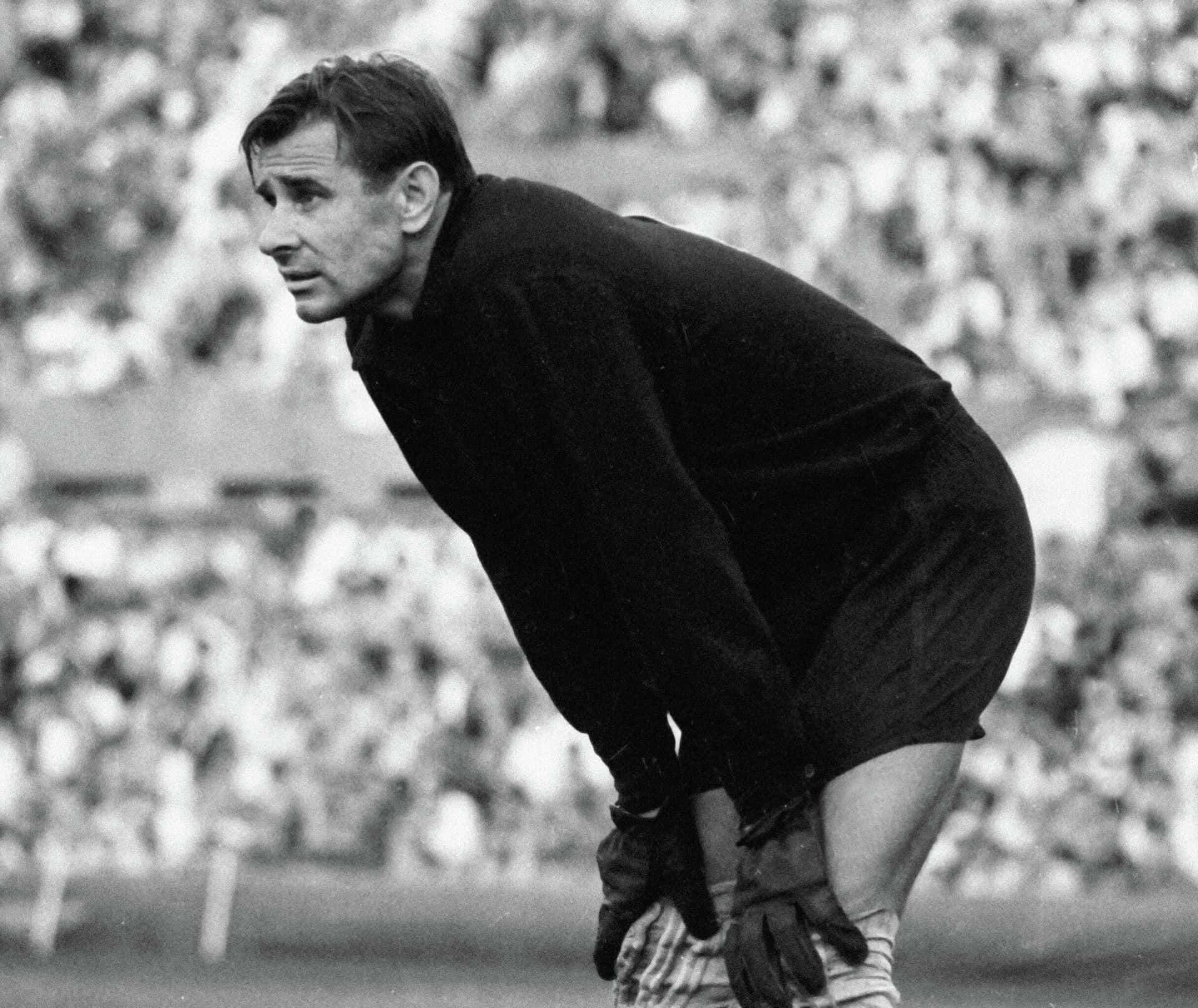 Lev Yashin Wallpapers - Top Free Lev Yashin Backgrounds - WallpaperAccess