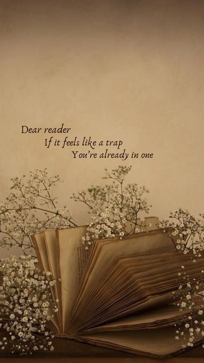 The Reader Wallpapers - Top Free The Reader Backgrounds - WallpaperAccess