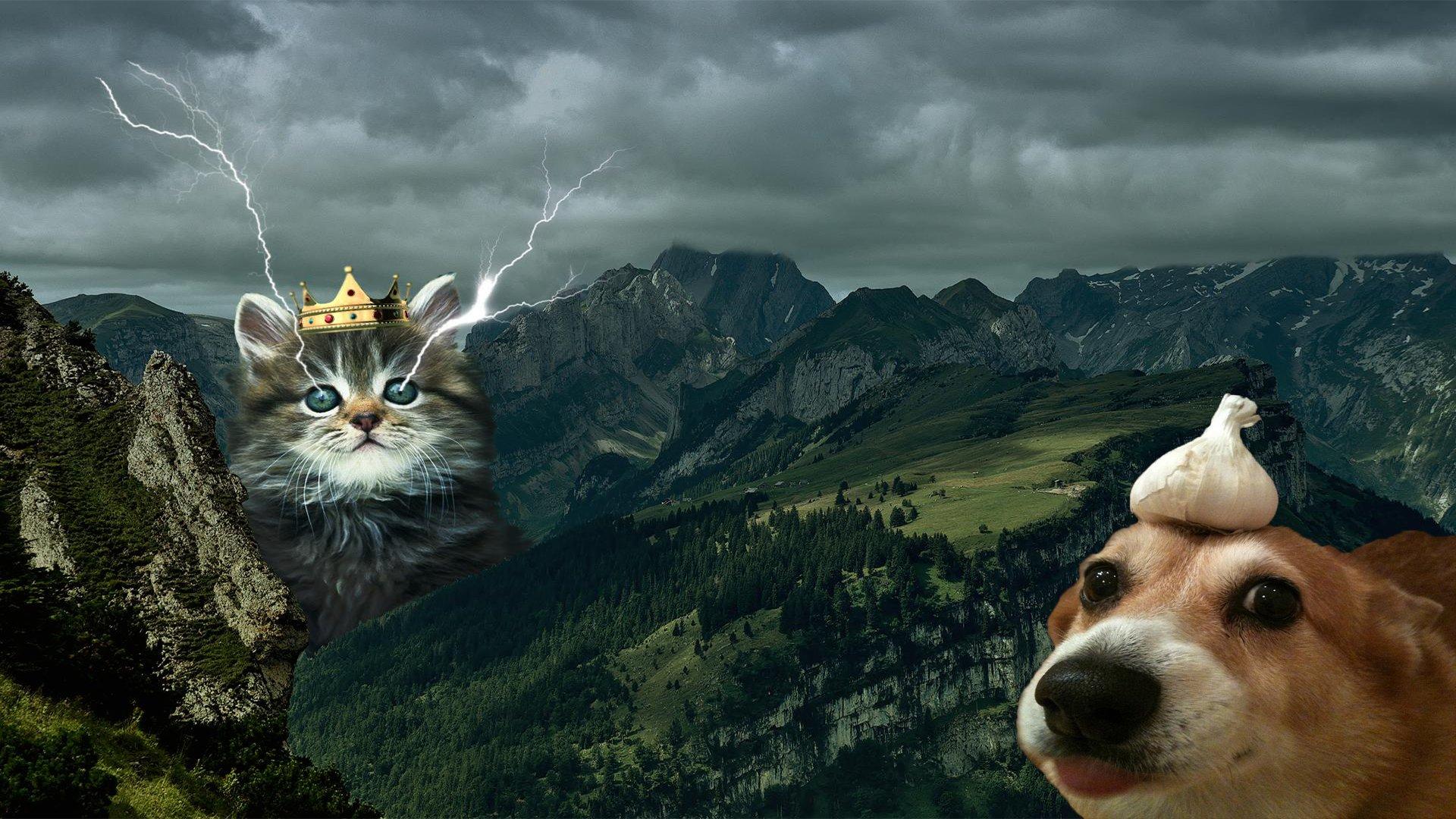 Garlic Dog Wallpapers - Top Free Garlic Dog Backgrounds - WallpaperAccess