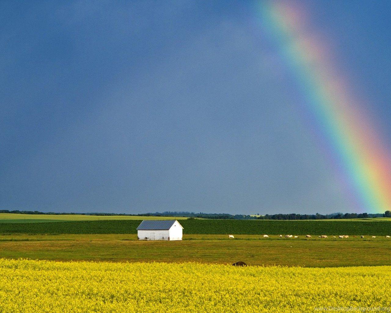 Natural Rainbow Wallpapers - Top Free Natural Rainbow Backgrounds ...