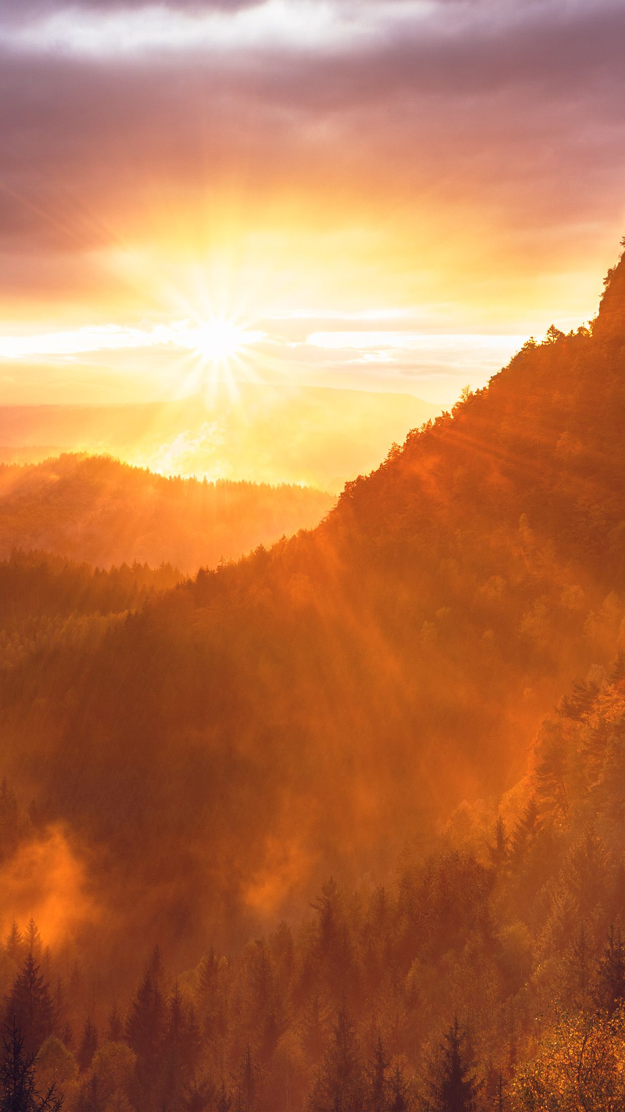 Morning Light Wallpapers - Top Free Morning Light Backgrounds ...